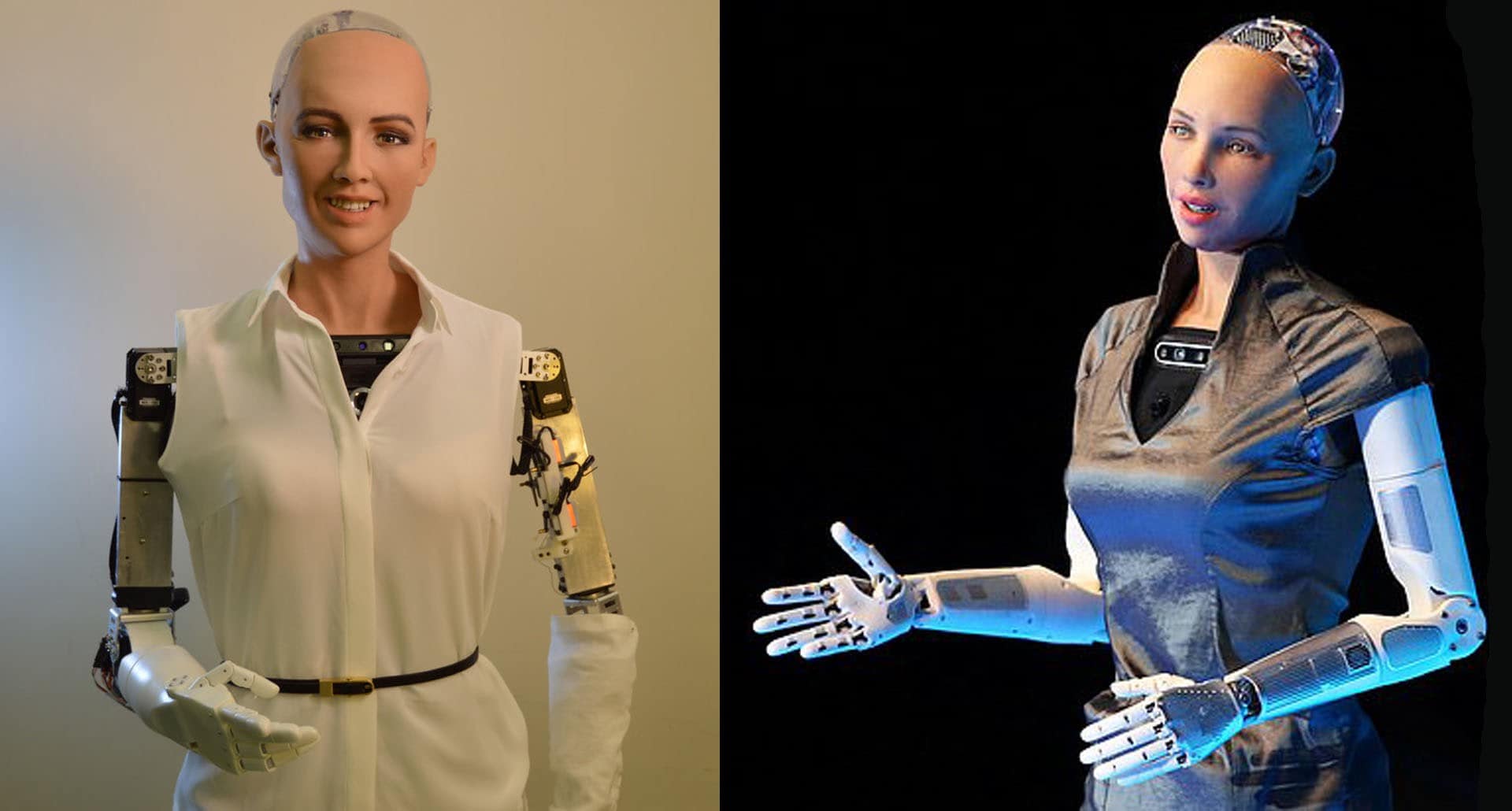 Why are they putting living skin on robots? - YogaEsoteric