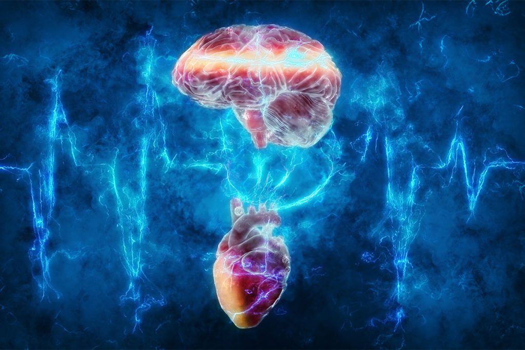 Creating Heart Brain Coherence for Physical and Emotional Health ...