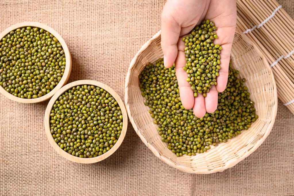 Mung beans: Ancient Chinese remedy for modern toxicity and inflammation ...